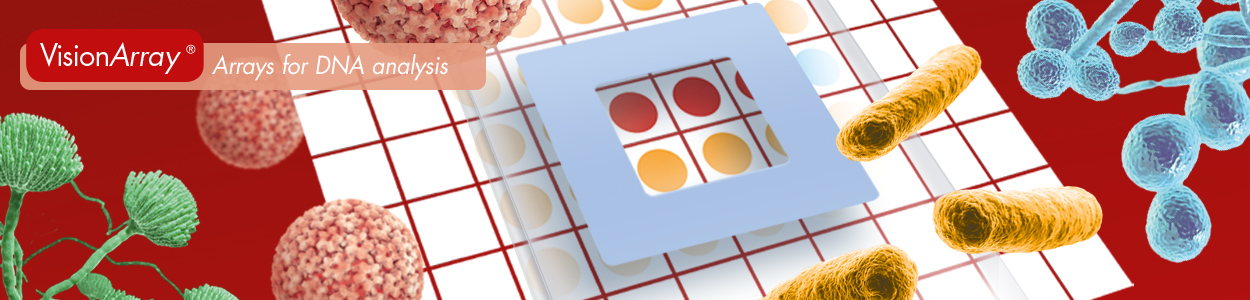 ZytoVision GmbH - Home