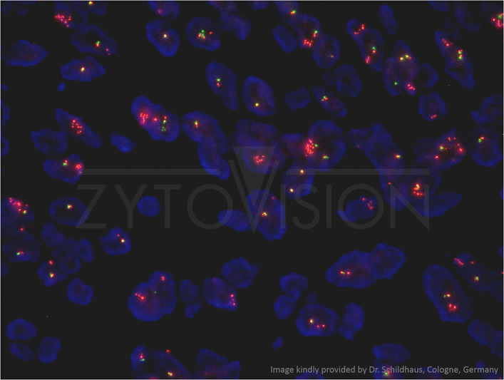 Image Gallery - ZytoVision GmbH