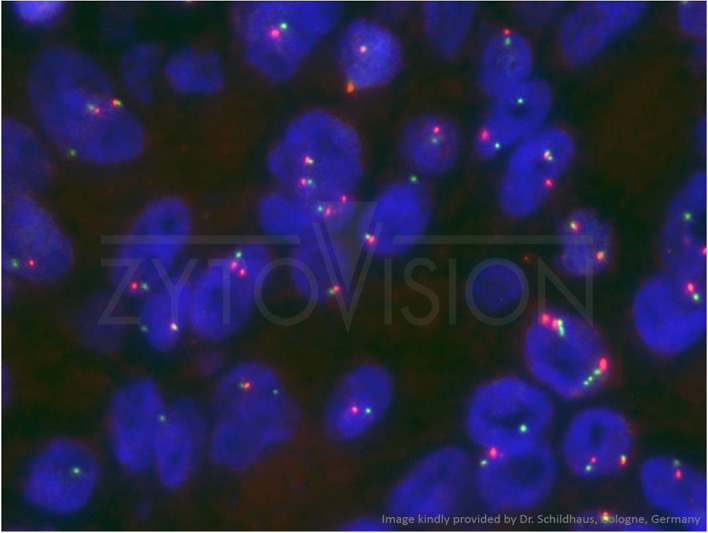 Image Gallery - ZytoVision GmbH