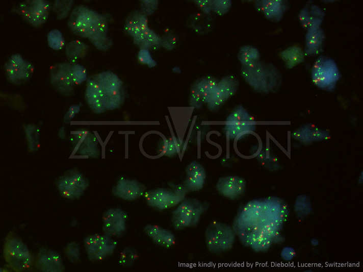 Image Gallery - ZytoVision GmbH