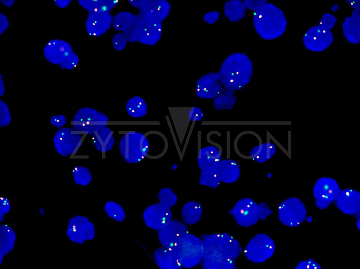 Image Gallery - ZytoVision GmbH